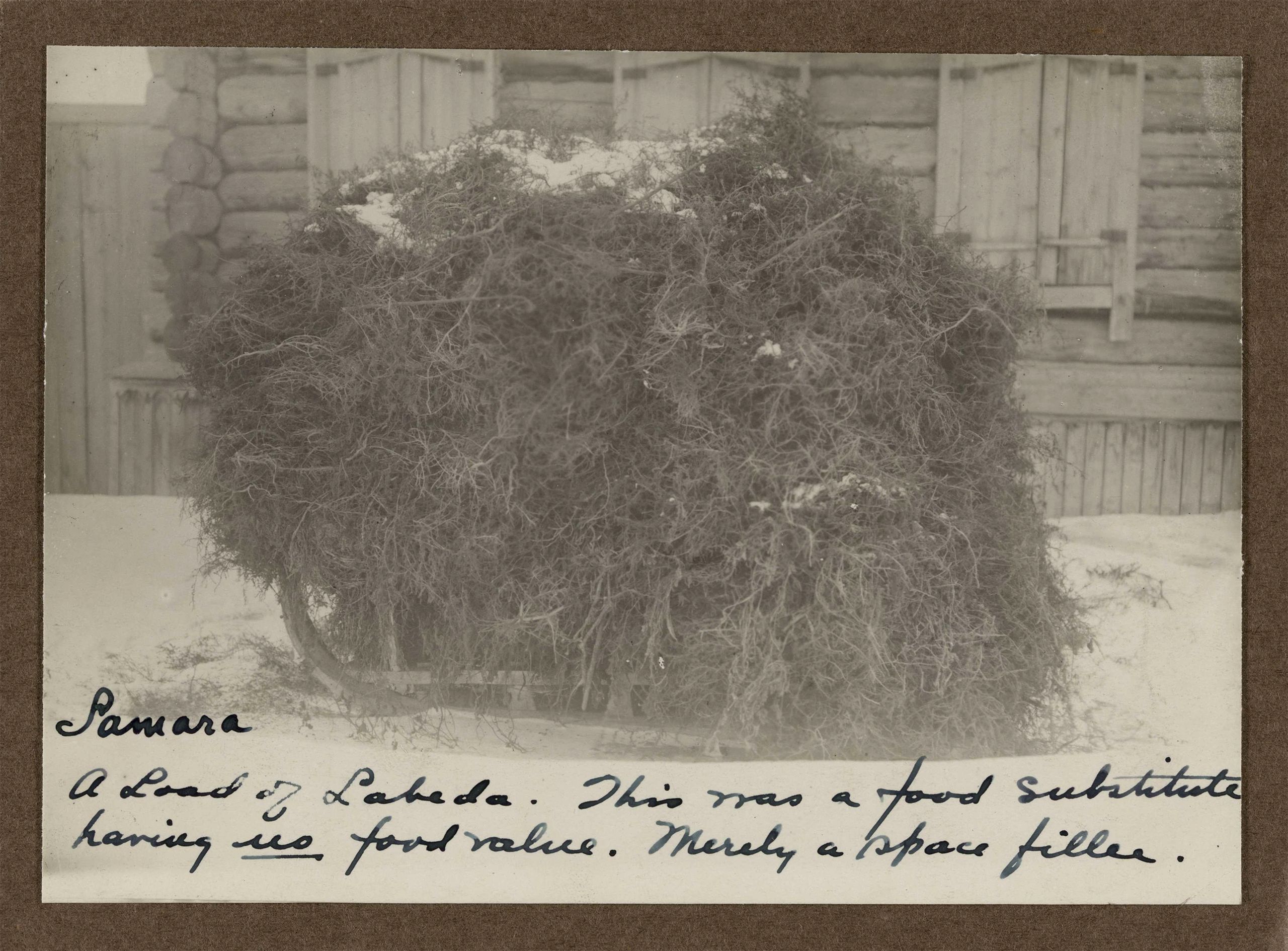 Bread + Medicine: Introduction | Hoover Institution