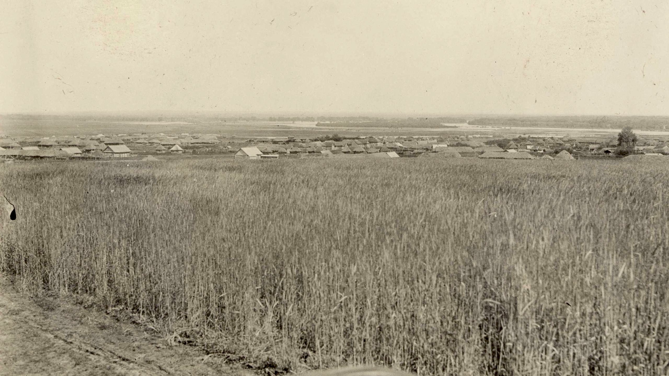 Bread + Medicine: Introduction | Hoover Institution